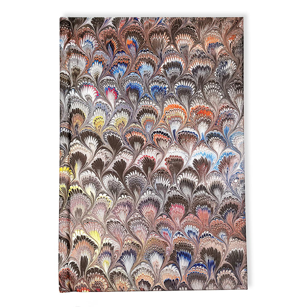 Dopamine Diary | 3-Minute Gratitude Journal for Positivity – Felicity